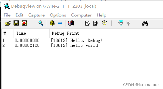 debugview的使用(VS2015)_debugview勾选驱动输出-CSDN博客