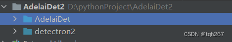 安装detectron2，AdelaiDet并在PyCharm中运行成功demo完整教程_detectron2安装pycharm-CSDN博客