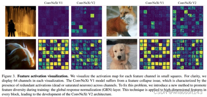 ConvNeXtV2_convnextv2 预训练-CSDN博客