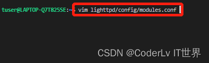 【章节 二】Lighttpd Server之CGI环境配置、开发详细流程_lihgttpd fcgi 服务地址配置-CSDN博客