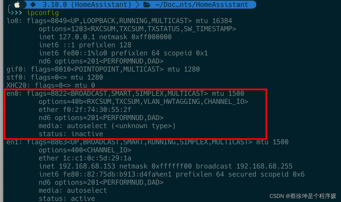 【HomeAssistant】启动失败：No IPv4 address found on en0_the system could not validate that the sqlite3 ...