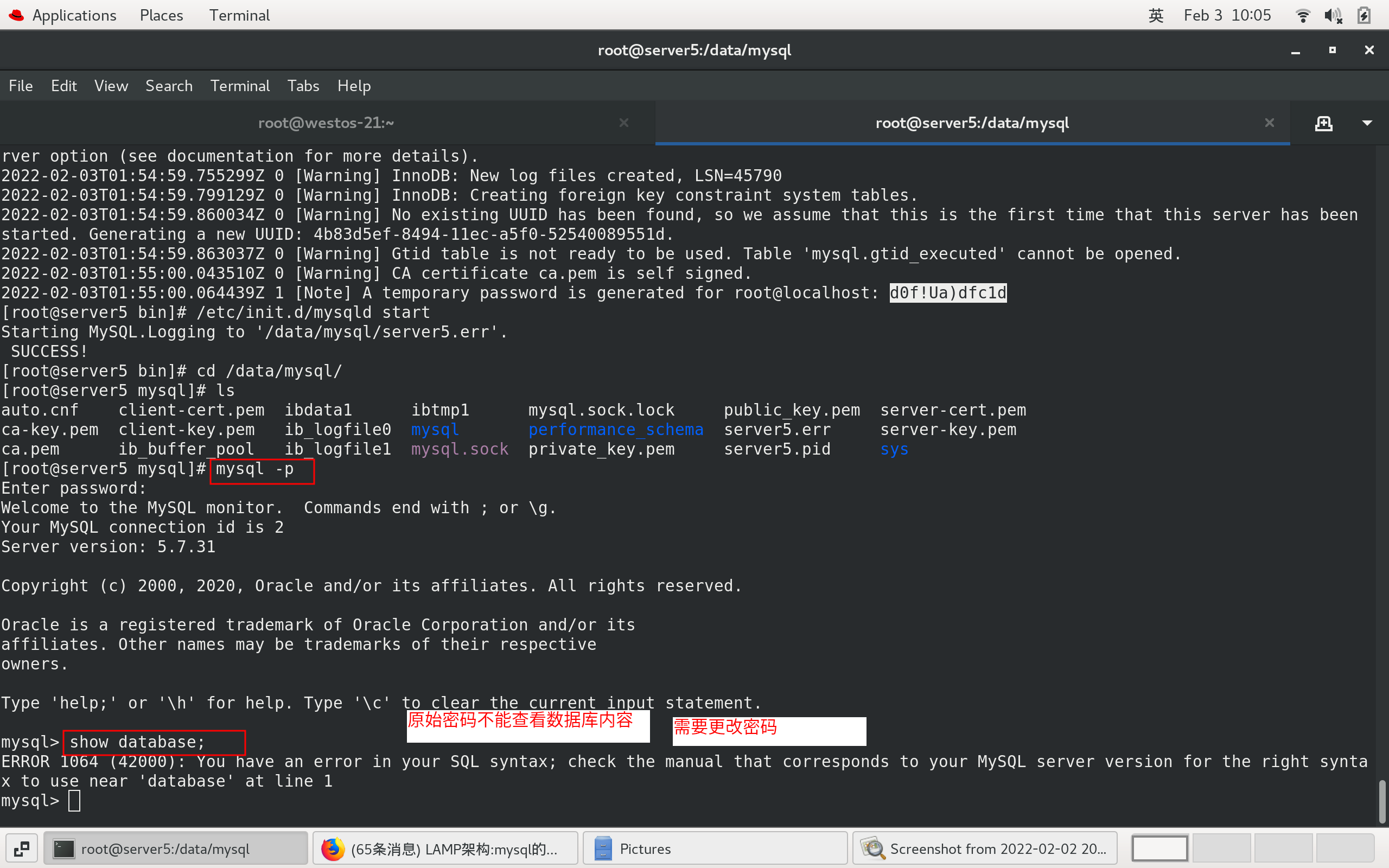 lamp架构之mysql的安装与部署_lamp mysql-CSDN博客