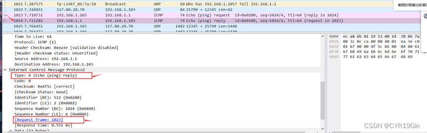 协议分析2：IP数据报分析_p协议数据报进行分析-CSDN博客