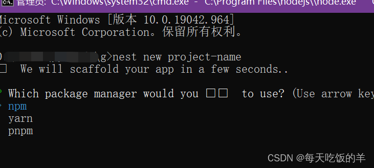 使用nest-CSDN博客
