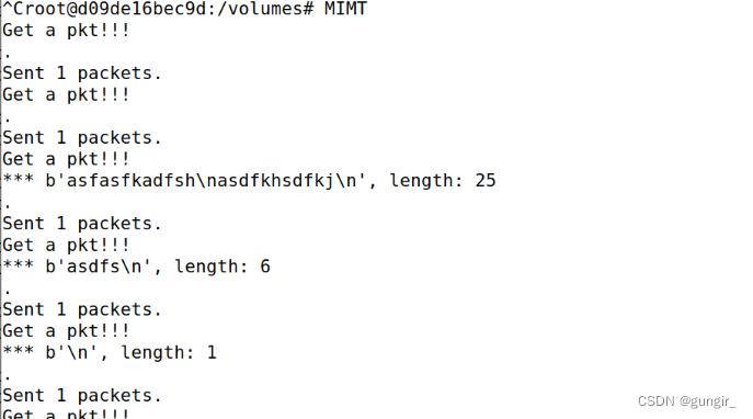 seedlab:ICMP_seedlab:virtual private network lab-CSDN博客