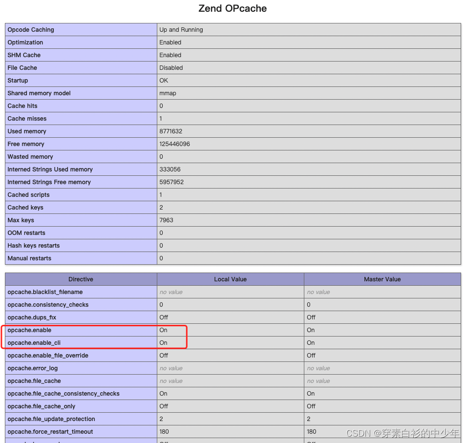 PHP - APC/OPcache - 学习/实践-CSDN博客