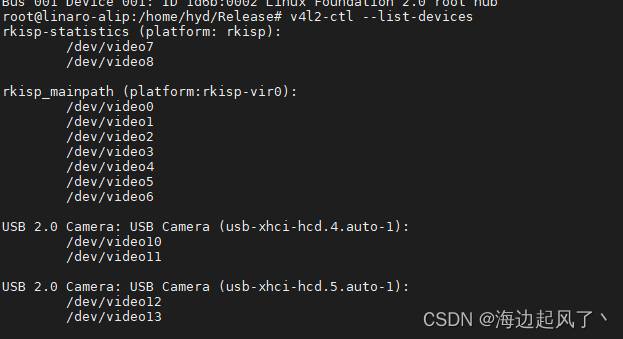 解决can‘t open camera by index_can't open camera by index-CSDN博客