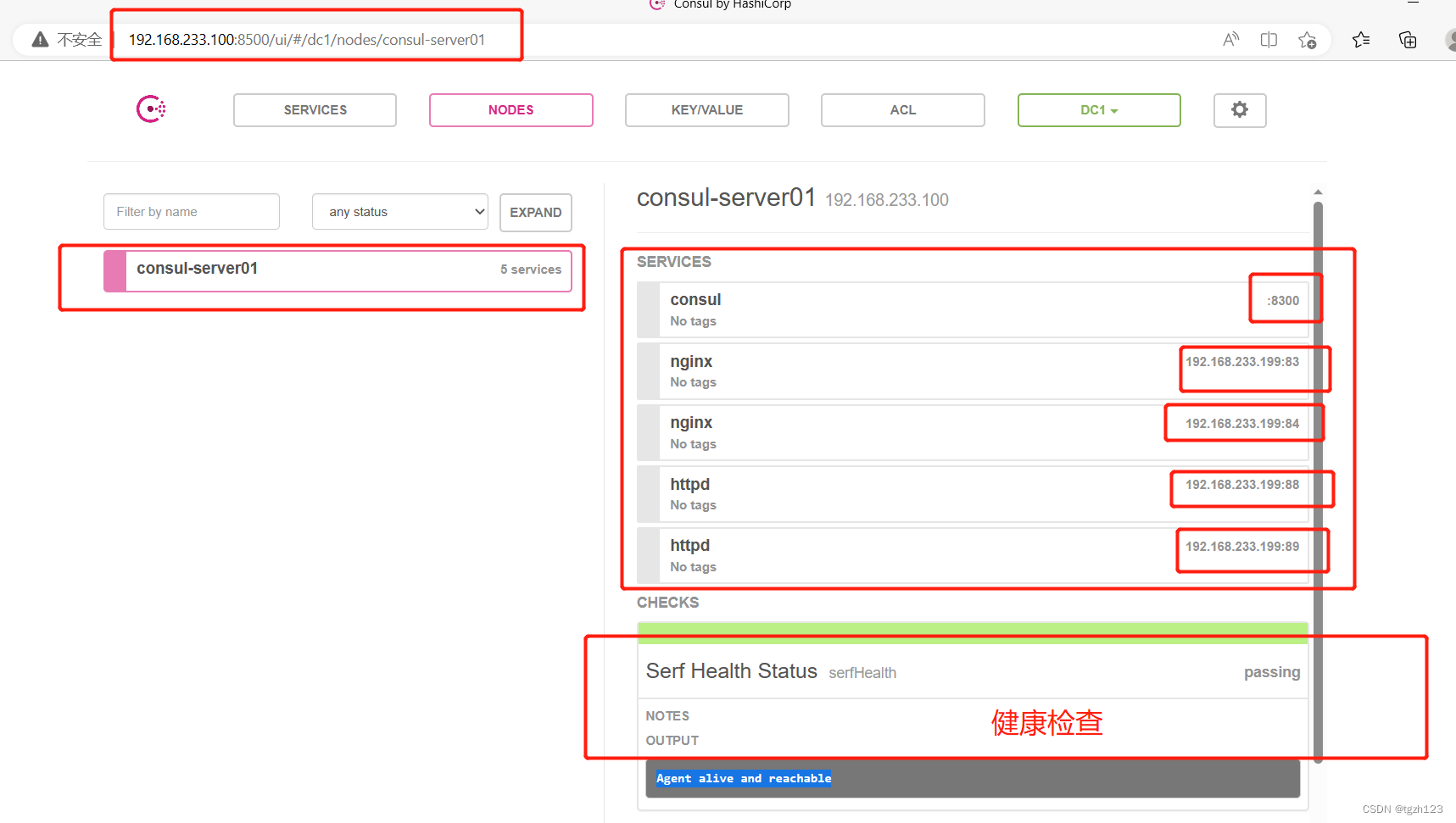 Docker consul的容器服务更新与发现_consul 8300-CSDN博客