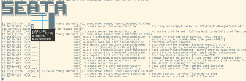 SpringCloud整合seata 纯file模式_seata 2.0 file-CSDN博客