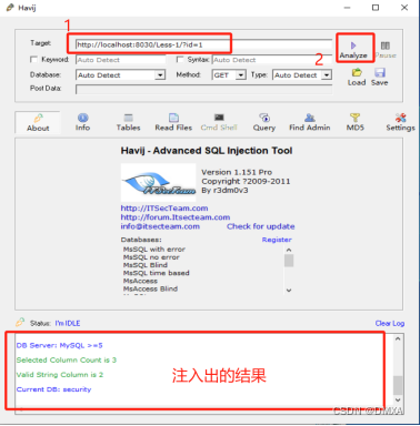 最常用的sql注入工具_havij工具-CSDN博客