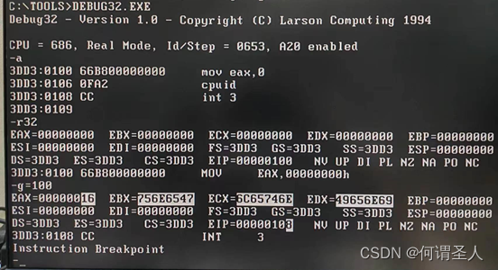 CPUID学习-CSDN博客