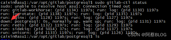 GIt登录不了，报错：Whoops, something went wrong on our end.-CSDN博客
