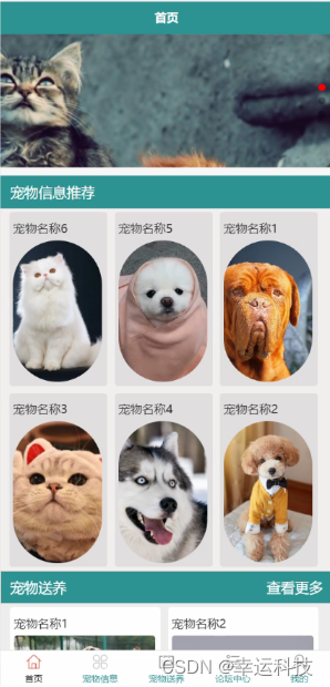 附源码 计算机毕业设计python宠物领养与物品捐赠小程序程序源码lw文档宠物信息管理python Csdn博客