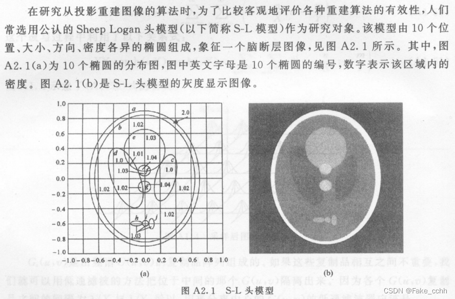 【医学成像原理实验——CT重建】1.产生shepp-logan模型（C++(VS的MFC)和matlab）-CSDN博客
