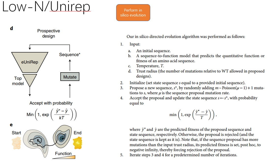 low_n/Unirep-CSDN博客