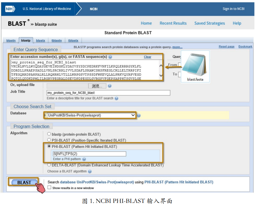 【生信MOOC】生物序列比对工具_序列比对在线-CSDN博客