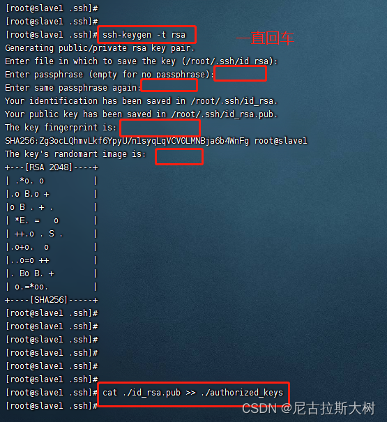 大数据-hadoop环境安装（集群）_hadoop登录master节点-CSDN博客