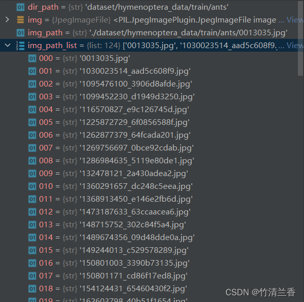 Pytorch（二）dataset 与 Dataloaderpytorch Dataset Dataloader Csdn博客