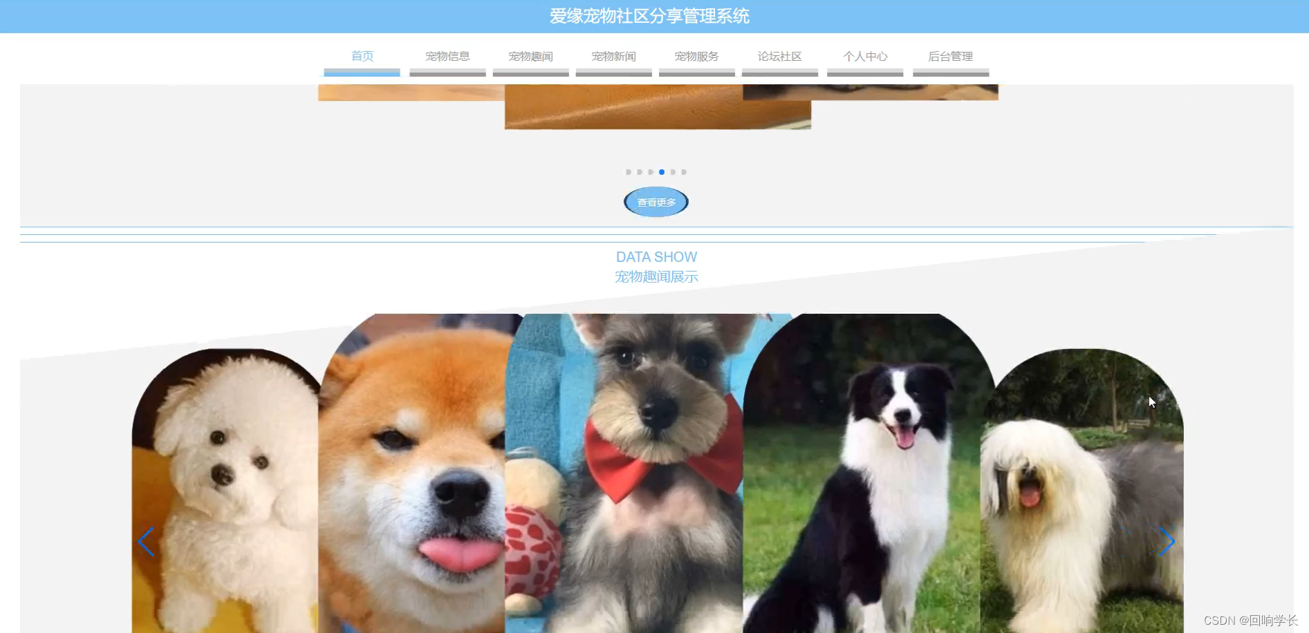 Ssm毕设项目爱缘宠物社区分享管理系统t00yq(javavuemybatismavenmysql)宠物社区平台java毕设 Csdn博客
