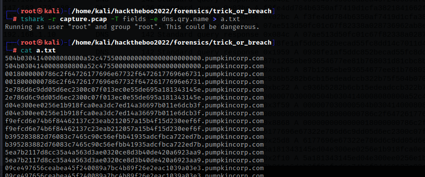 Hack The Boo 2022 CTF题目writeups_ctfdns外带流量-CSDN博客