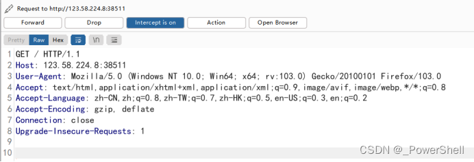 [ 漏洞复现篇 ] Apache Shiro 身份认证绕过漏洞 (CVE-2022-32532)-CSDN博客