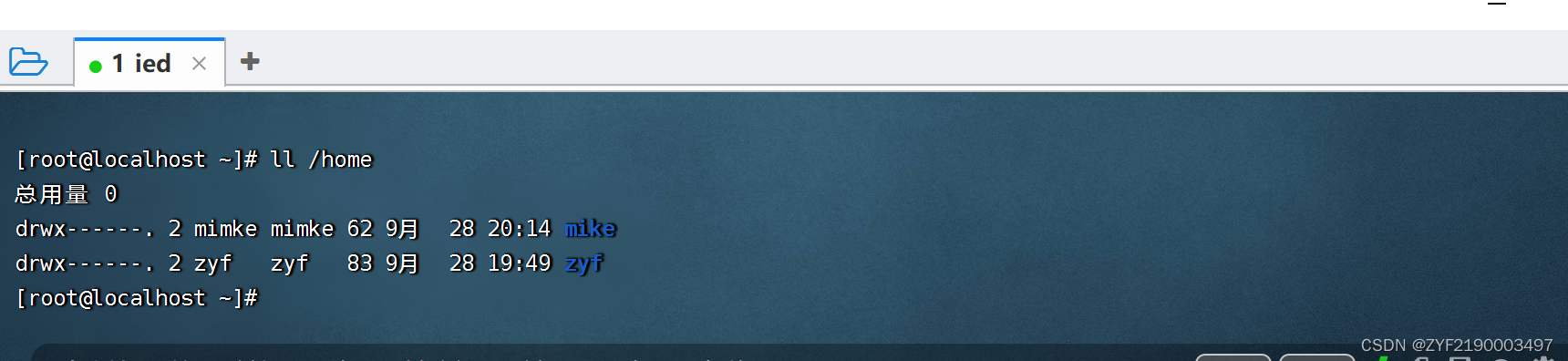 VMware以用户root登录虚拟机_虚拟机如何进入root-CSDN博客