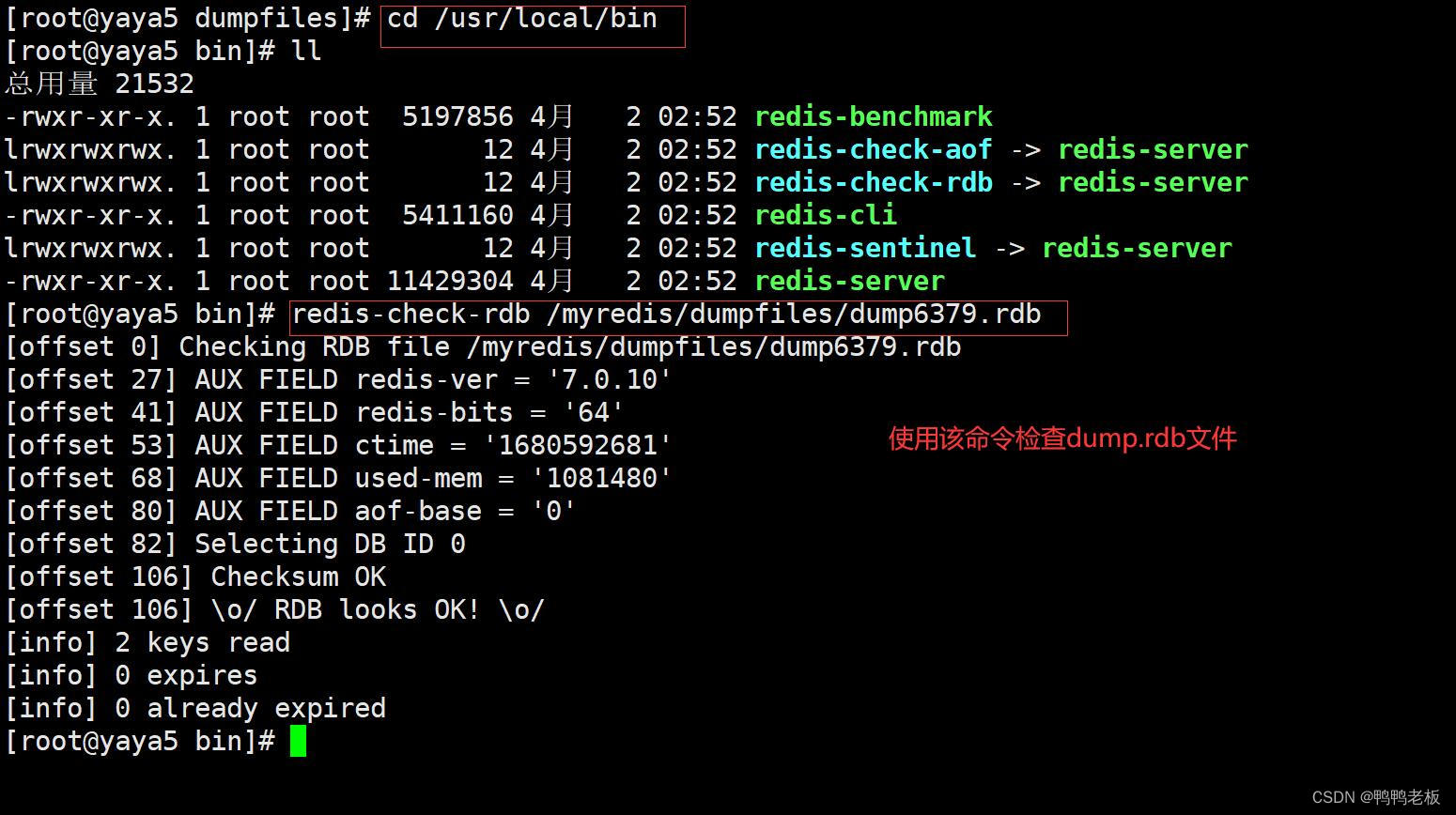 redis --- RDB(Redis Data Base)_redis flushdb 命令会备份吗-CSDN博客