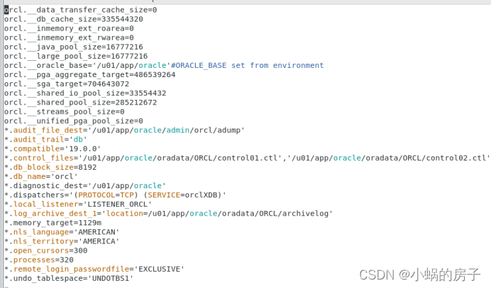 Oracle 19c 单实例adg搭建（图文详解） 19c Adg Csdn博客