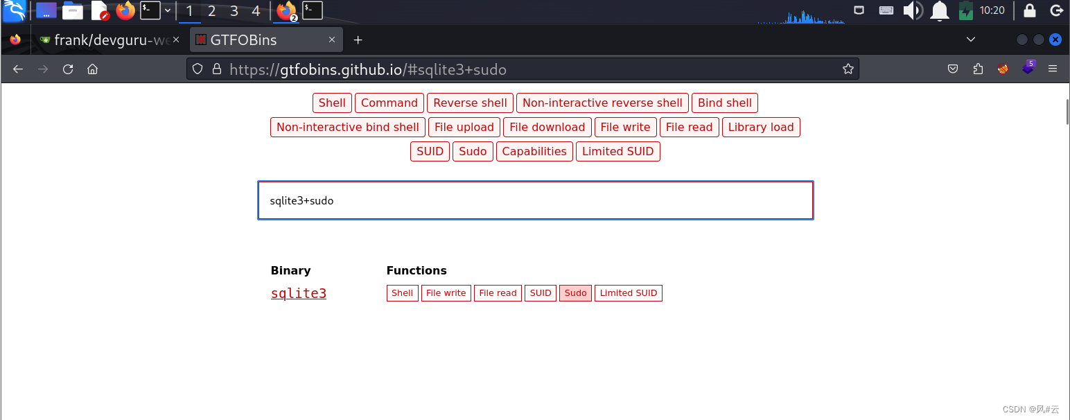 vulnhub之devguru靶场打靶-CSDN博客