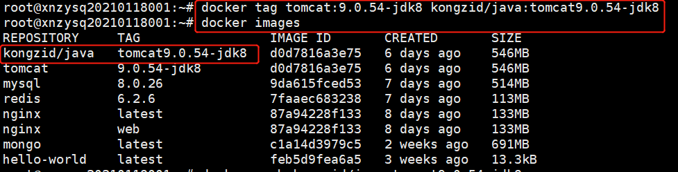 Docker教程-8-DockerHub仓库及私有仓库的使用-CSDN博客