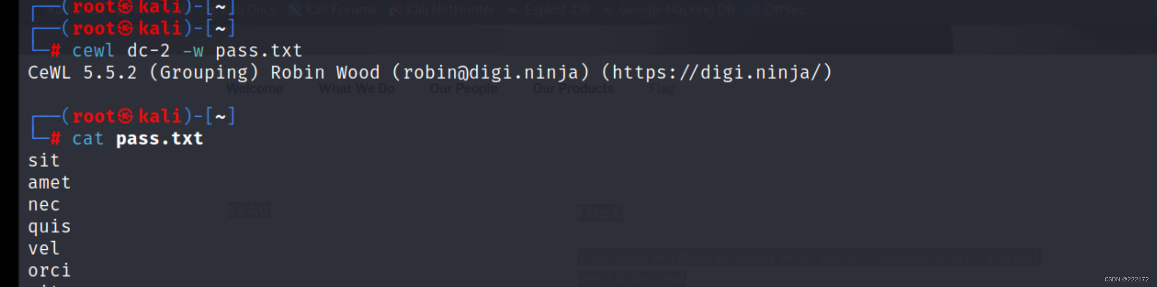 DC-2靶场搭建及渗透_dc2靶场-CSDN博客