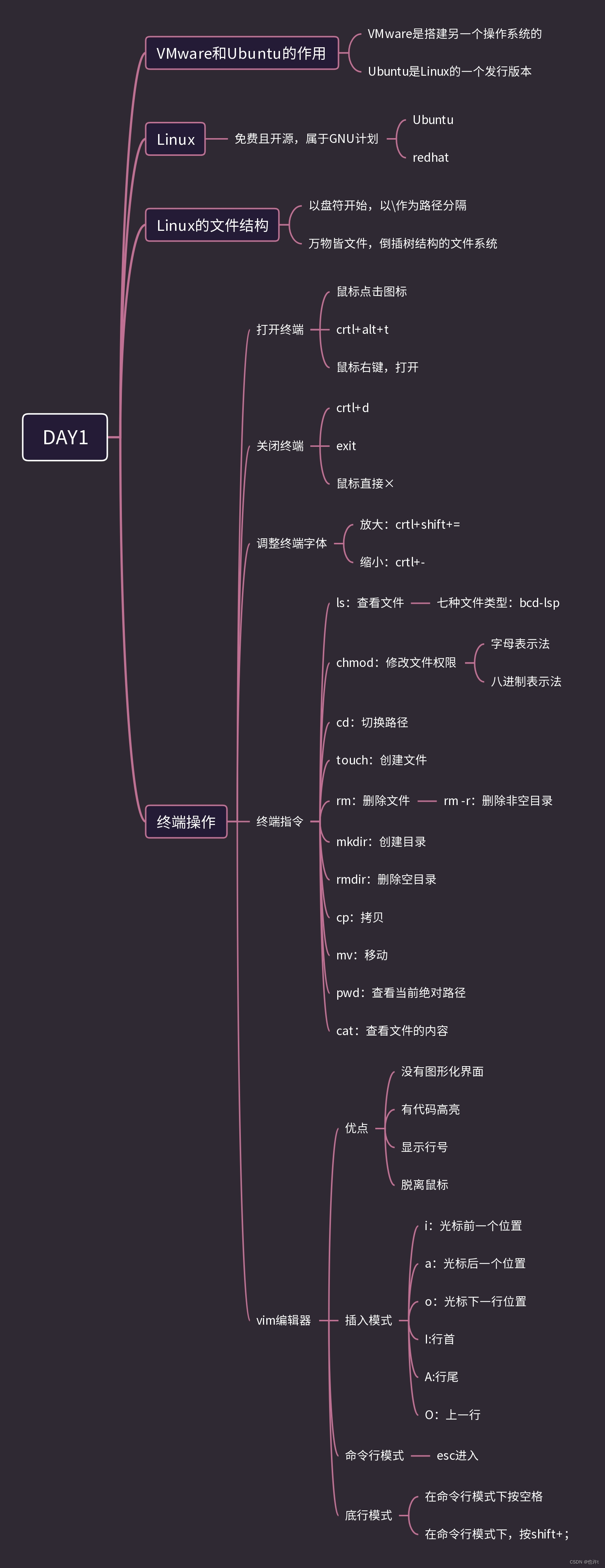 DAY1思维导图-CSDN博客