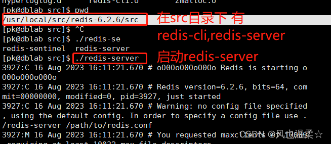 Redis安装以及RESP连接Redis服务器_resp 连接-CSDN博客