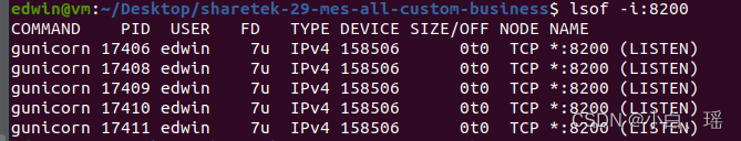 python3 gunicorn配置文件详解_gunicorn 配置文件-CSDN博客