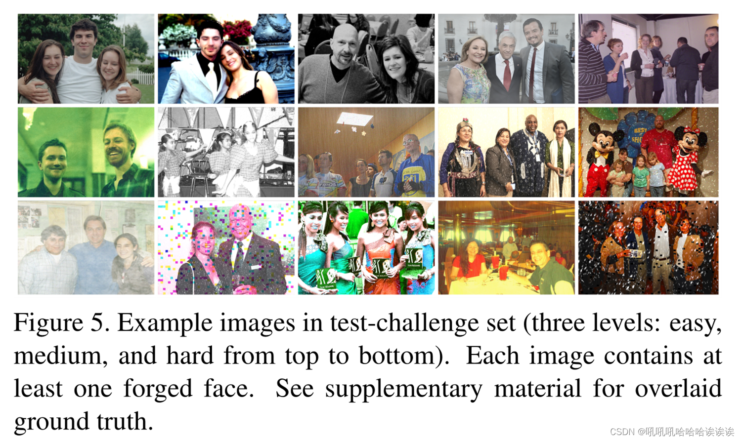 OpenForensics: Large-Scale Challenging Dataset For Multi-Face Forgery ...
