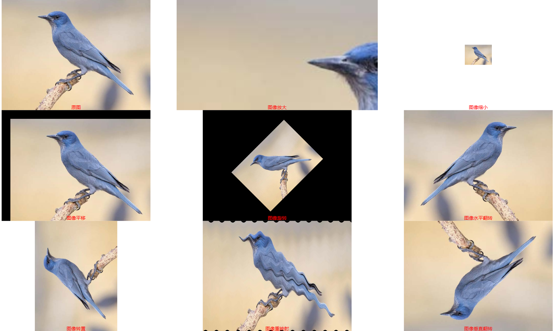 EMGU.CV入门（五、图片变换）_emgu.cv.cvinvoke.transform-CSDN博客