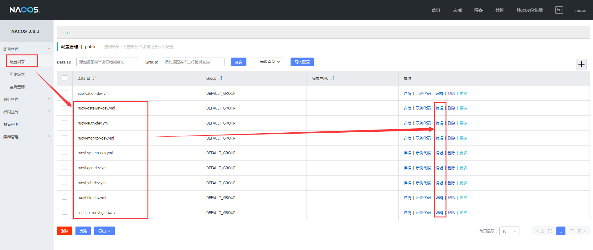 RuoYi框架微服务版本(windows环境)二次开发环境搭建详解【小白版】_ruoyi wcs-CSDN博客
