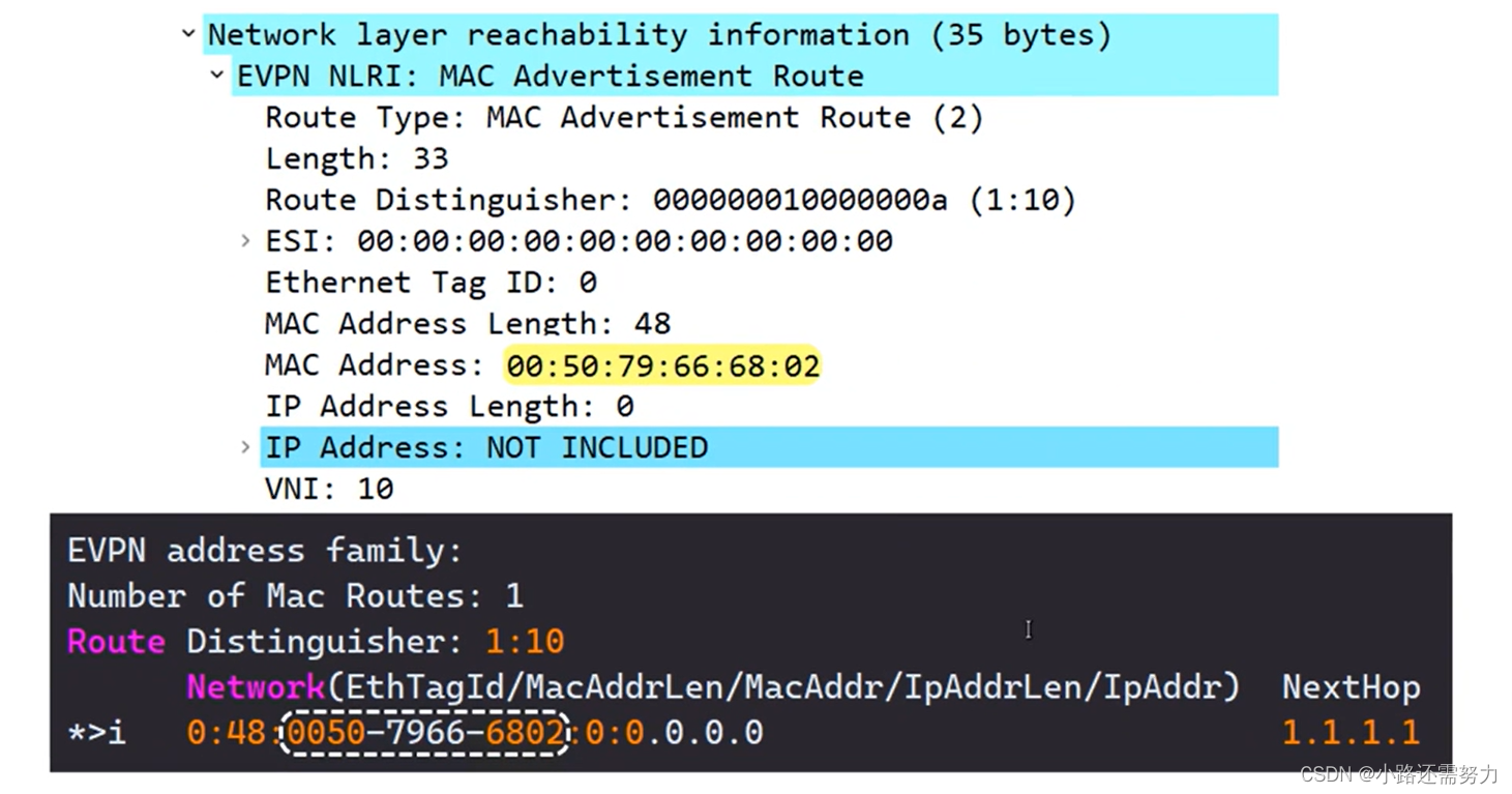 VXLAN-EVPN_vxlan arp泛洪抑制-CSDN博客
