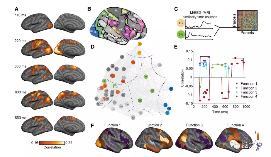 EEG/MEG-fMRI融合初识:在空间和时间上解析人脑反应-CSDN博客