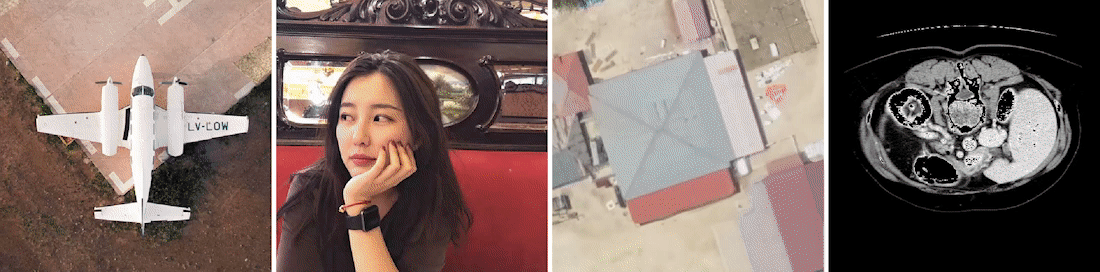 语义分割工具EISeg_eiseg快捷键-CSDN博客