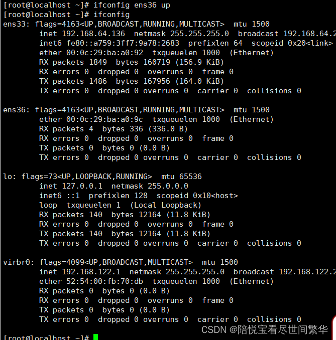 Linux网络命令之DHCP_ifconfig dhcp-CSDN博客
