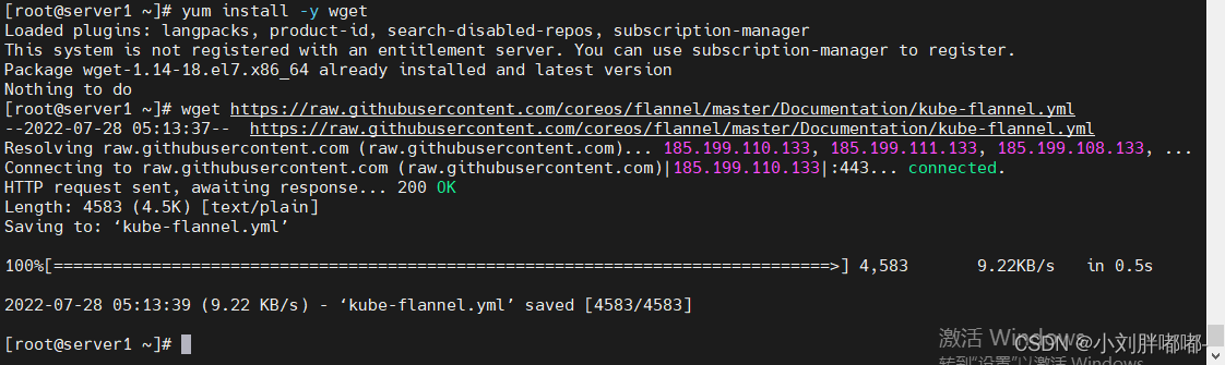 k8s集群部署_mirrored-flannelcni-flannel-cni-plugin-CSDN博客