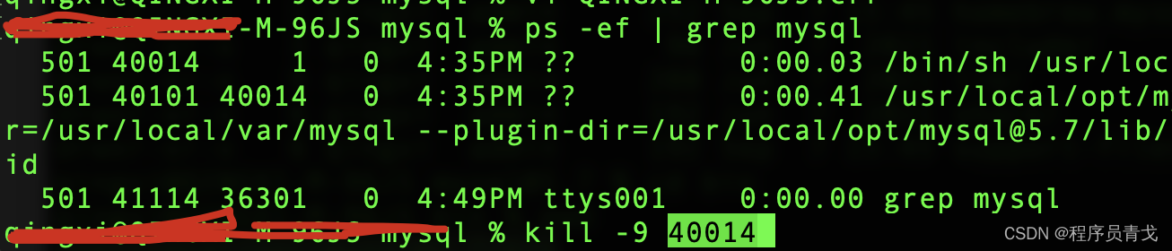 Error The Server Quit Without Updating Pid File Usr Local Var Mysql