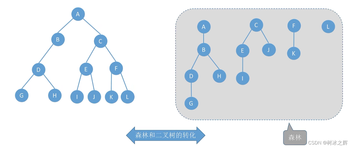 【数据结构】树与二叉树、森林与二叉树的转换数据结构中转换森林 Csdn博客