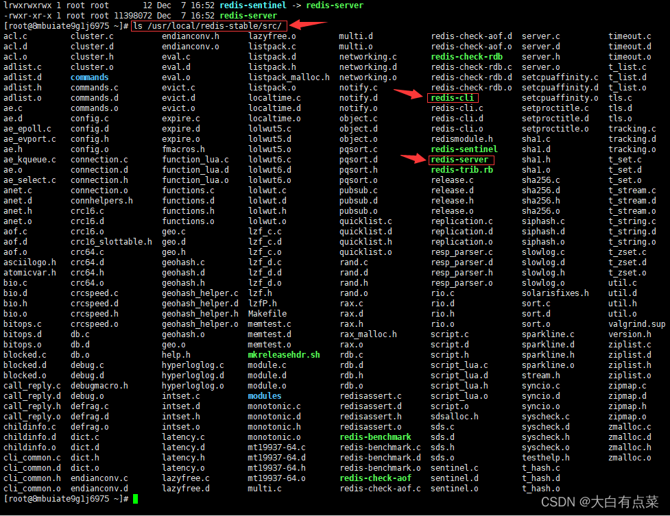 写最好的最新稳定版Redis7（redis-7.0.5）在云服务器Centos7安装部署教程（参考官方文档）_redis哪个版本稳定-CSDN博客