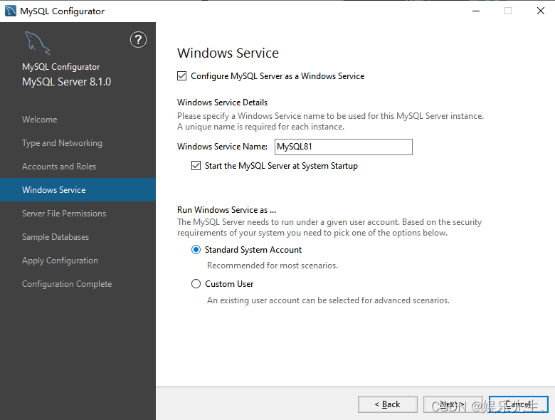 MYSQL8.1msi--详细--安装过程！！！_mysql8.1怎么安装-CSDN博客