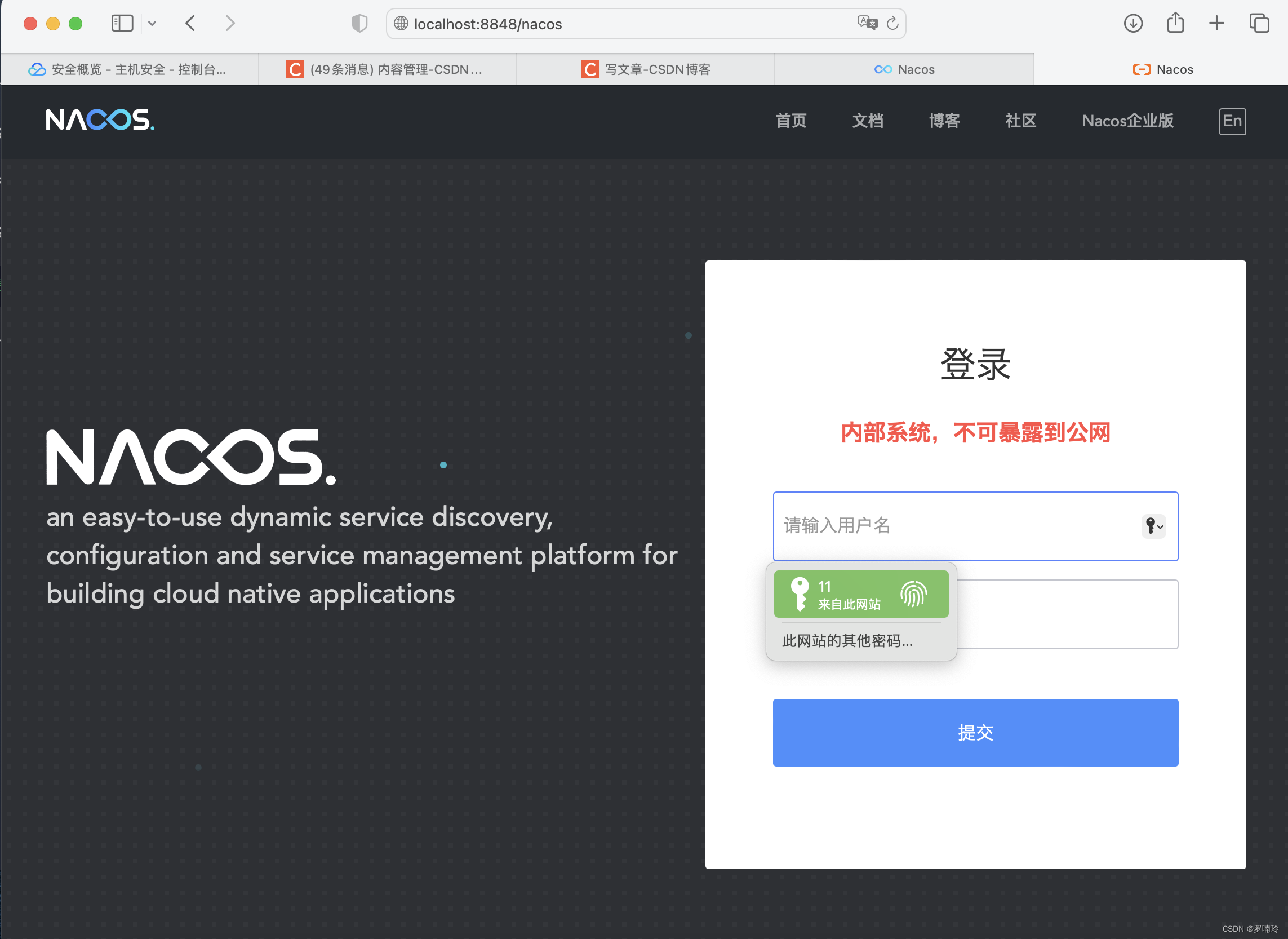 Docker Nacos 访问dcoker中的nacos地址 Csdn博客