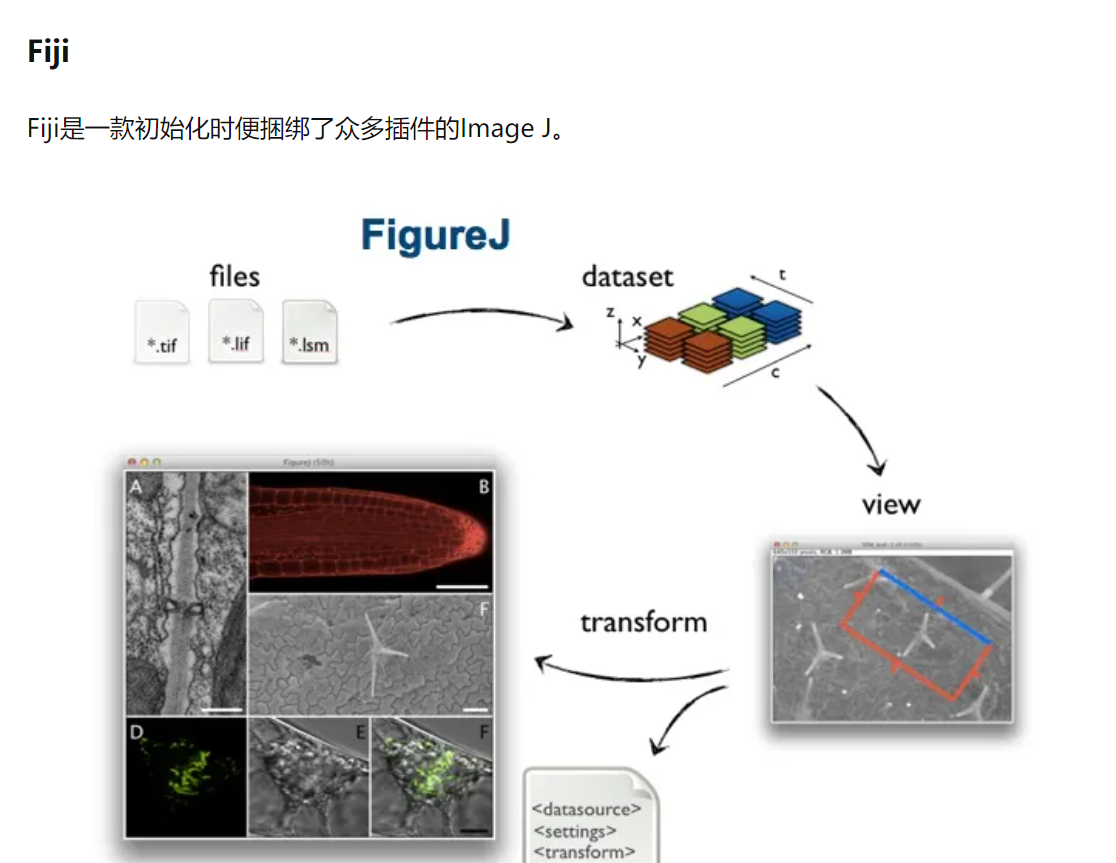如何使用imageJ玩医学图像 dicom_imagej打开dicom文件-CSDN博客