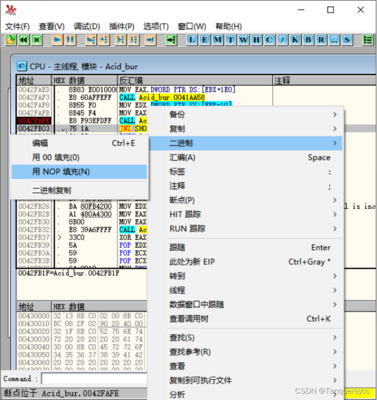 OllyDBG 破解crackme160第一个Acid_burn详细解析_天累无e64eea-CSDN博客